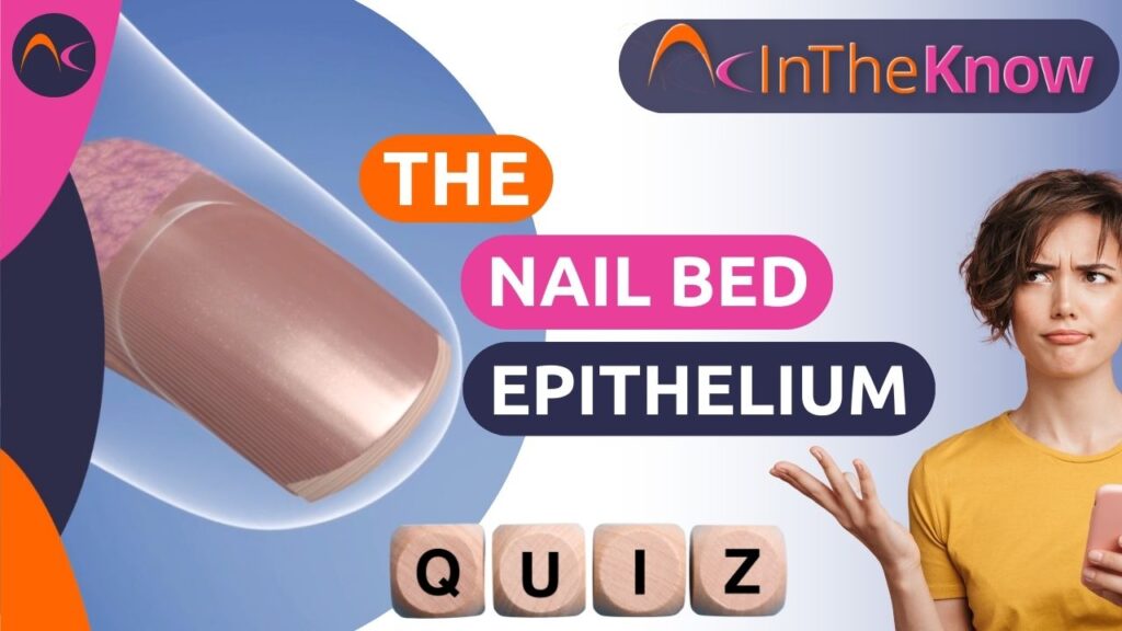 Nail Anatomy - NailKnowledge
