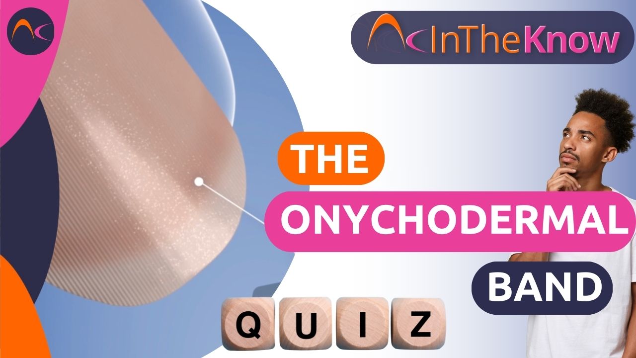 Nail Anatomy - NailKnowledge