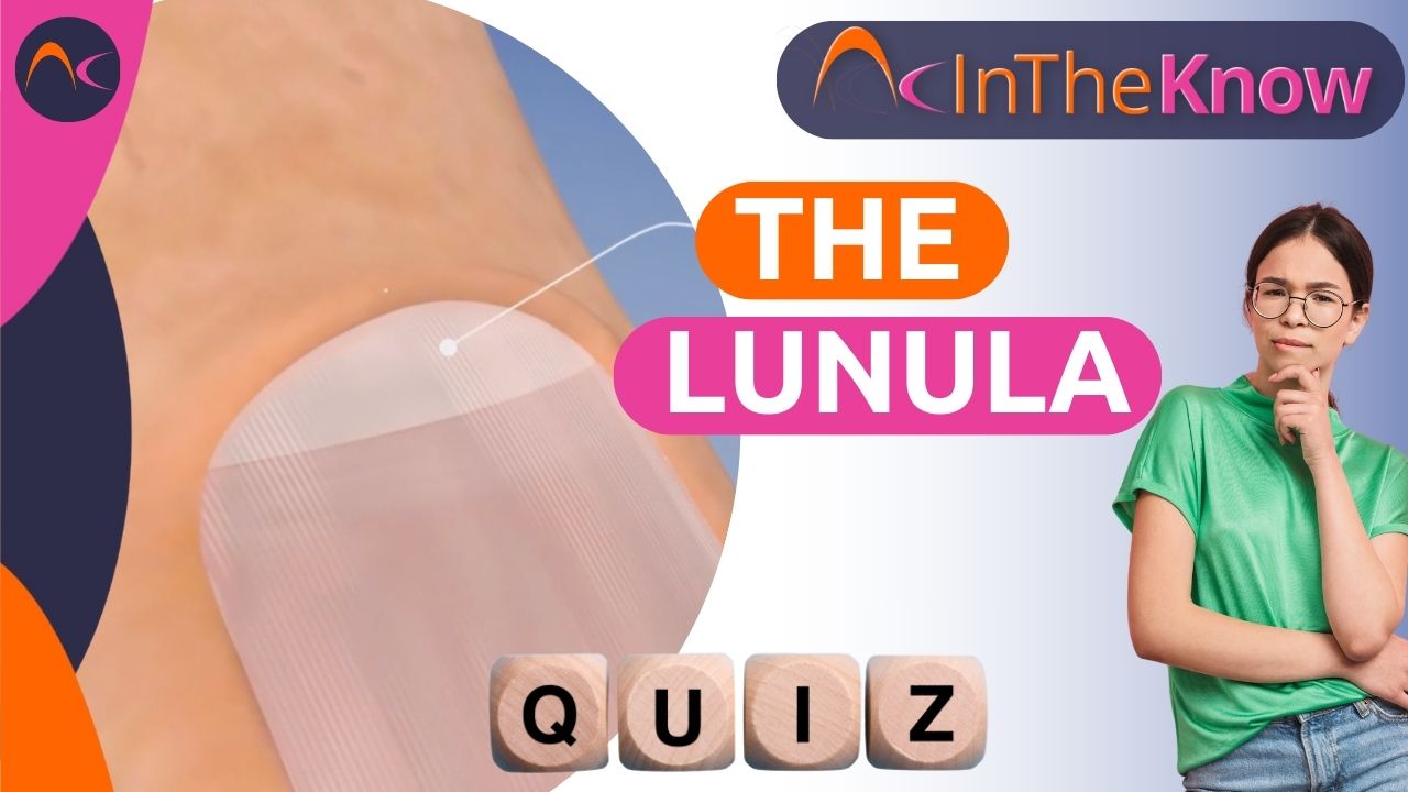 Nail Anatomy - NailKnowledge