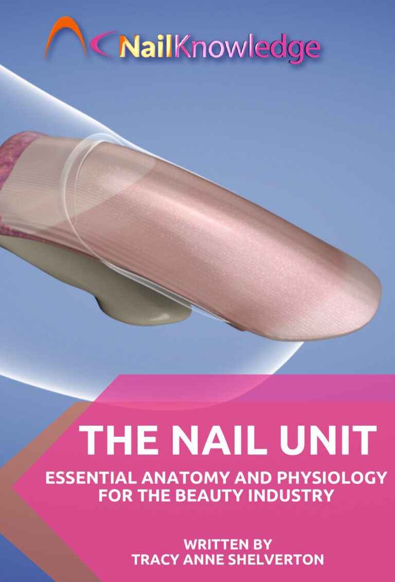 Anatomy and Physiology The Nail Unit - NailKnowledge