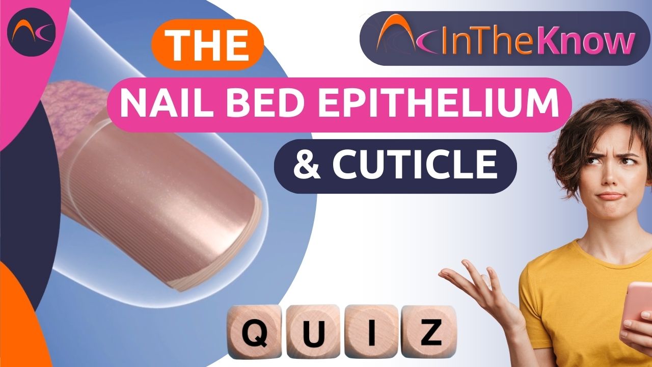 Nail Anatomy - NailKnowledge