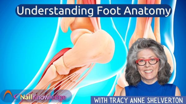 Understanding Foot Anatomy: Essential Knowledge for Nail Professionals ...