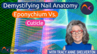 Understanding the Eponychium vs. Cuticle - NailKnowledge